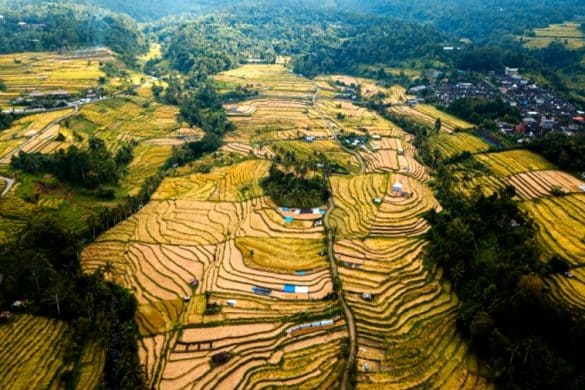 20 Locuri de Vizitat in Bali in 2026 - Obiective Turistice