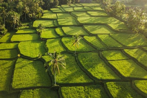 20 Locuri de Vizitat in Bali in 2026 - Obiective Turistice