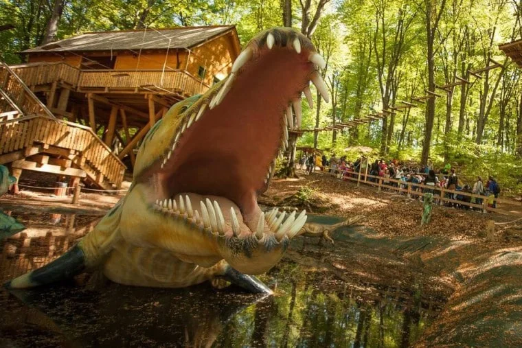 20 Locuri de Vizitat Langa Brasov - Atractii pe Langa Brasov