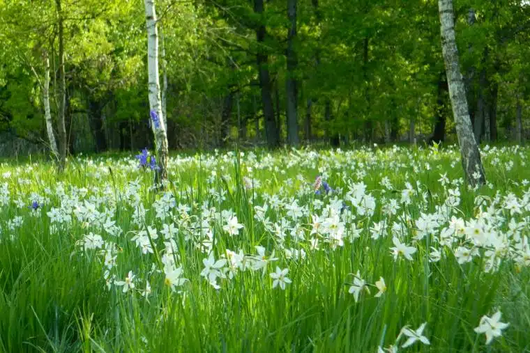 20 Locuri de Vizitat Langa Brasov - Atractii pe Langa Brasov