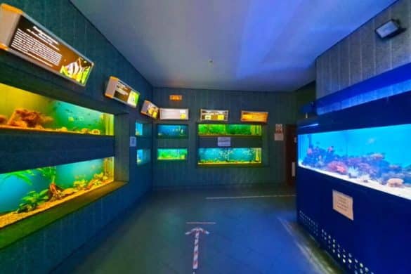 17 Obiective Turistice Constanta in 2024 - Locuri de Vizitat